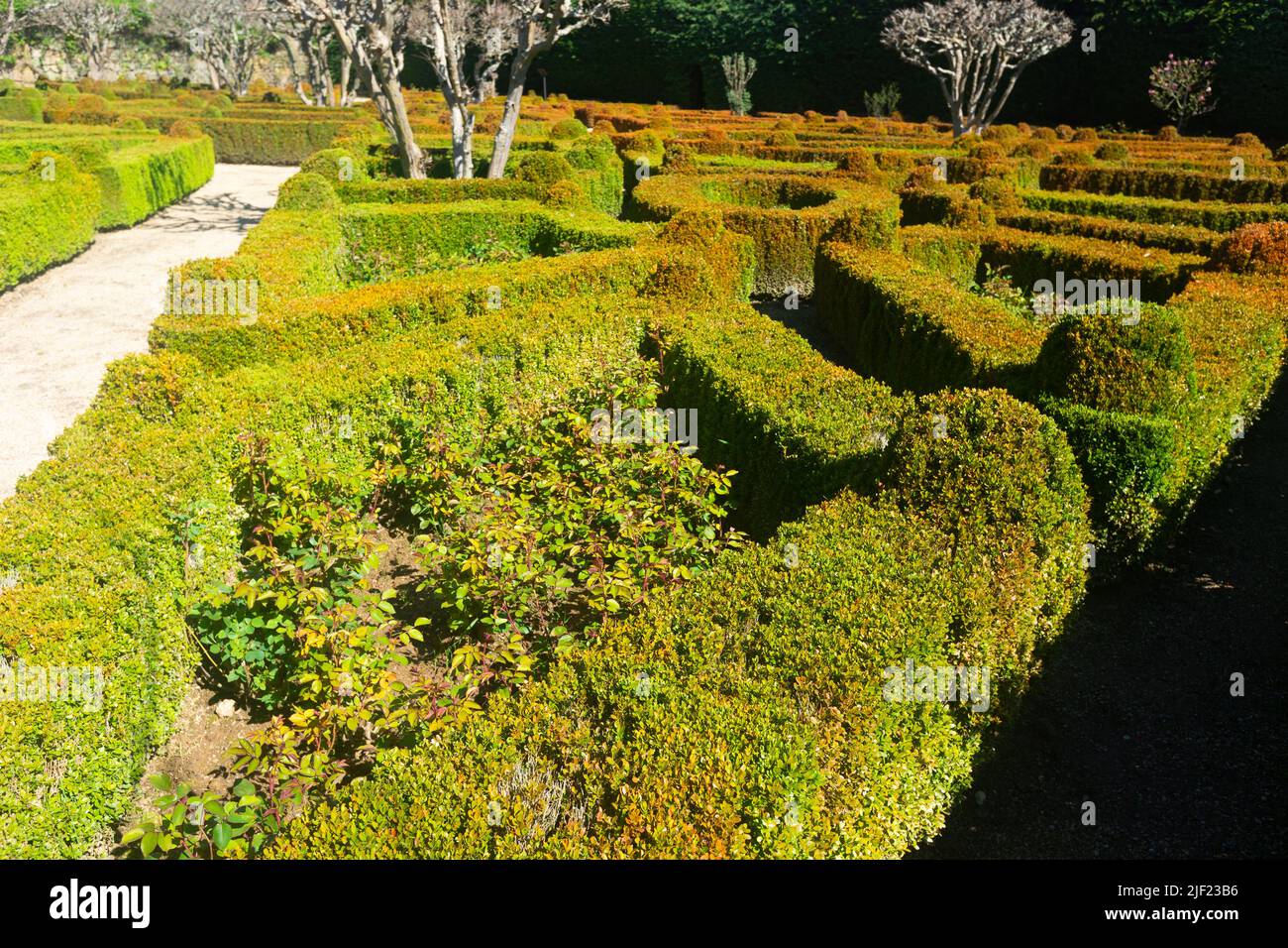 Boxwood garden backyard hi-res stock photography and images - Alamy