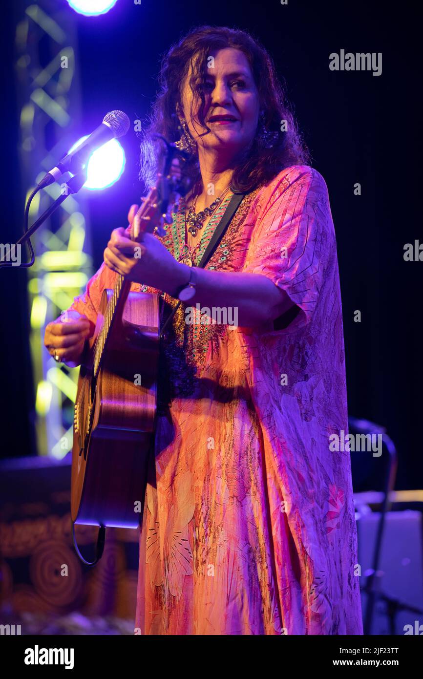 lead singer Shane Howards of The Goanna Band perform live onstage for ...