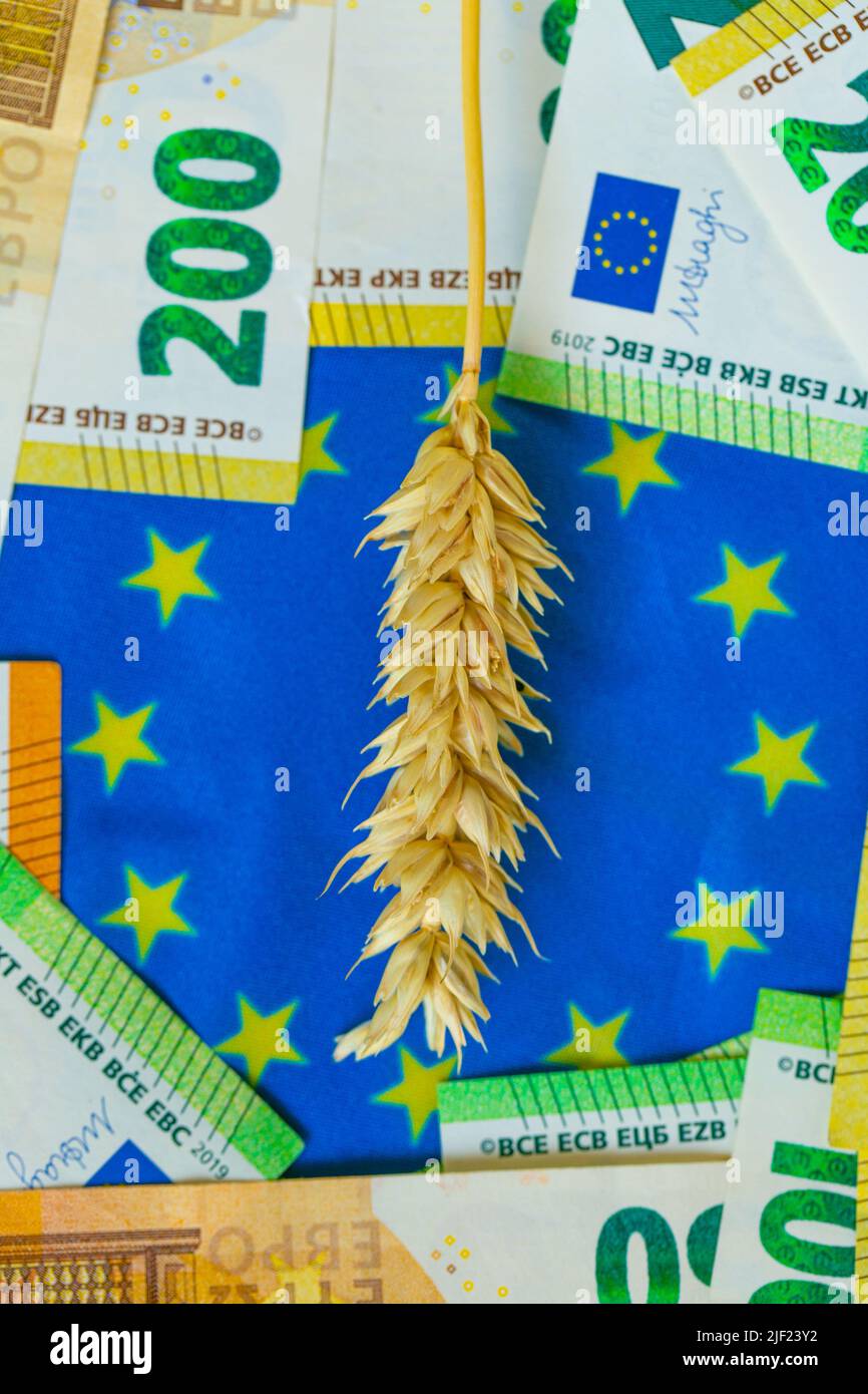 cost of wheat and flour in the EU countries.Euro bills and Grains of ...