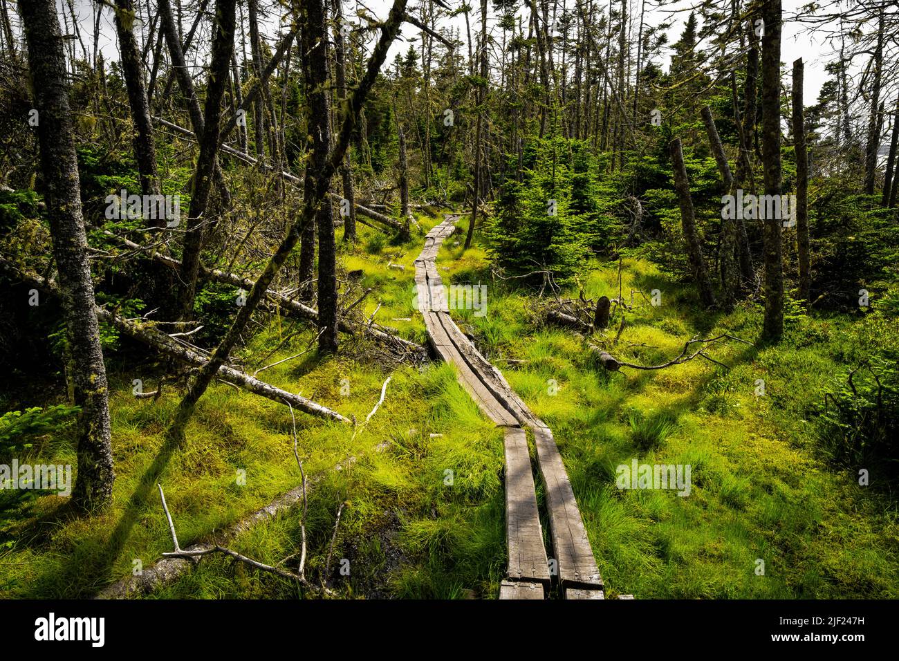 Wet muddy area hi-res stock photography and images - Alamy