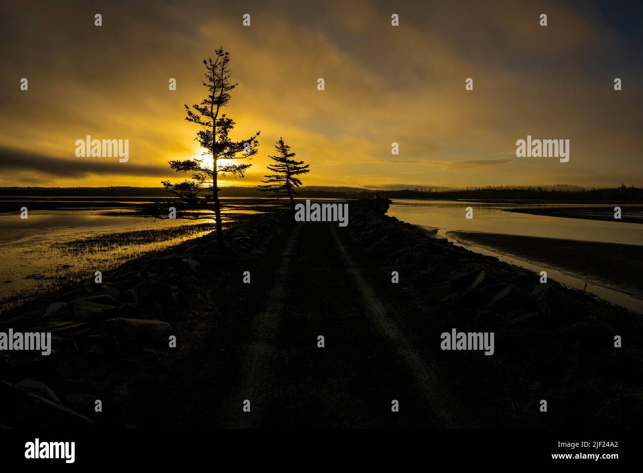 Salt marsh trail nova scotia hi-res stock photography and images - Alamy