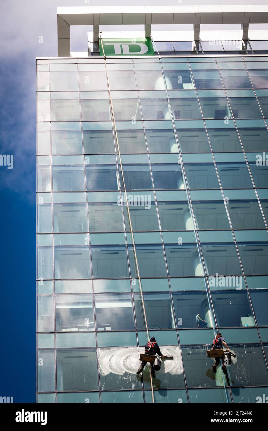 Window cleaners working while suspended from the top of the building ...
