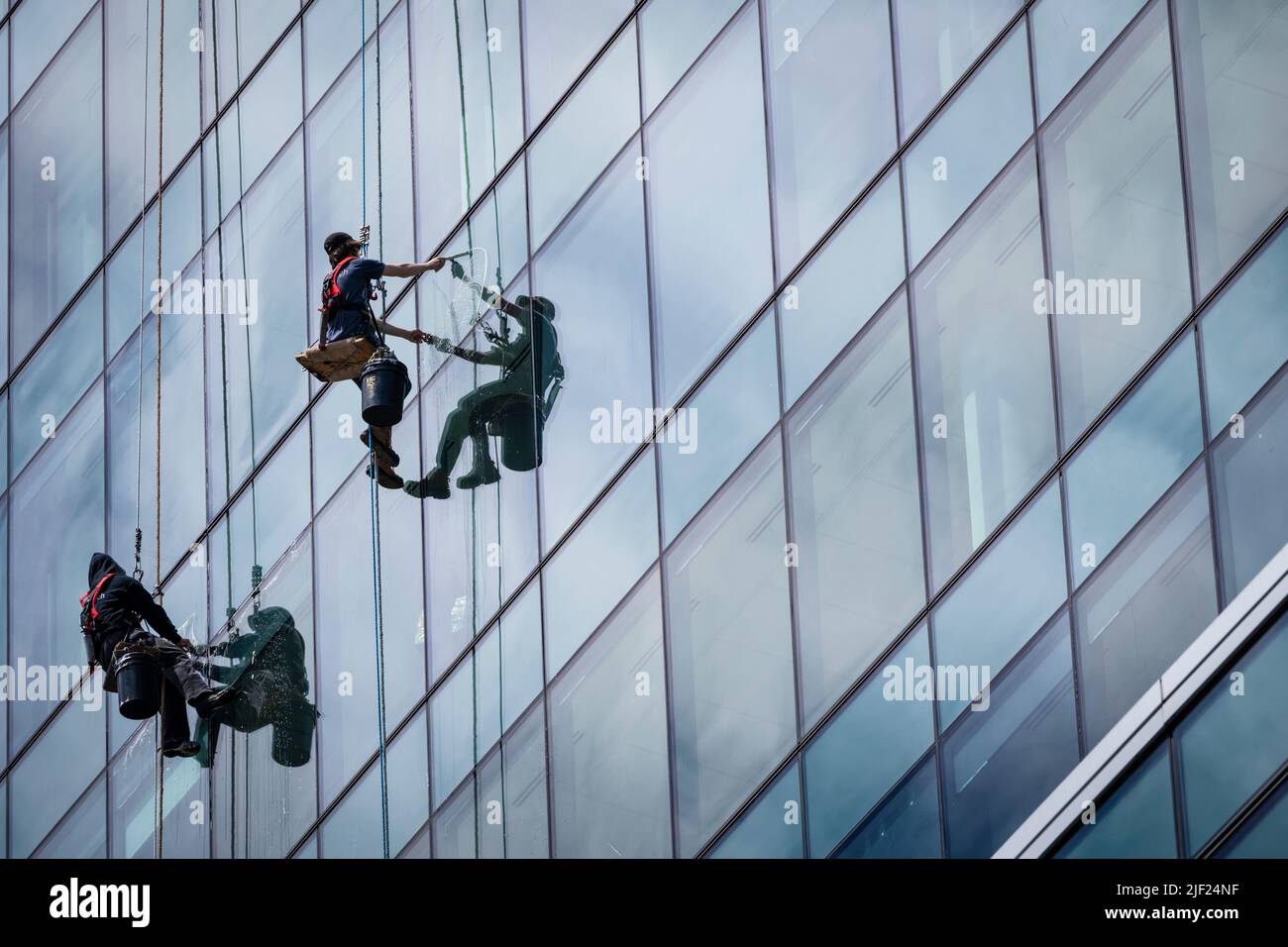 Window cleaners working while suspended from the top of the building ...