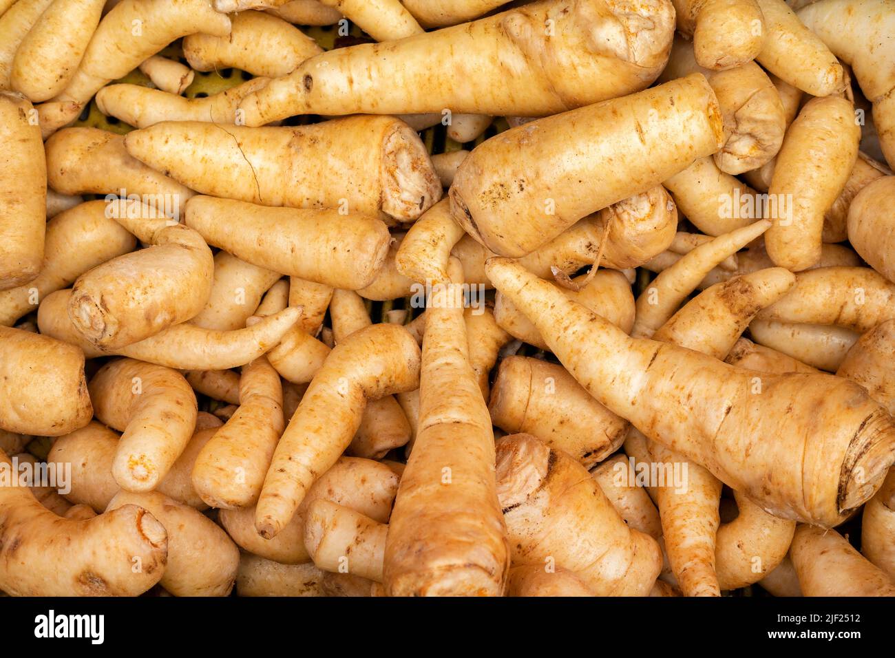 Arracacha in the traditional Colombian market - Arracacia xanthorrhiza ...
