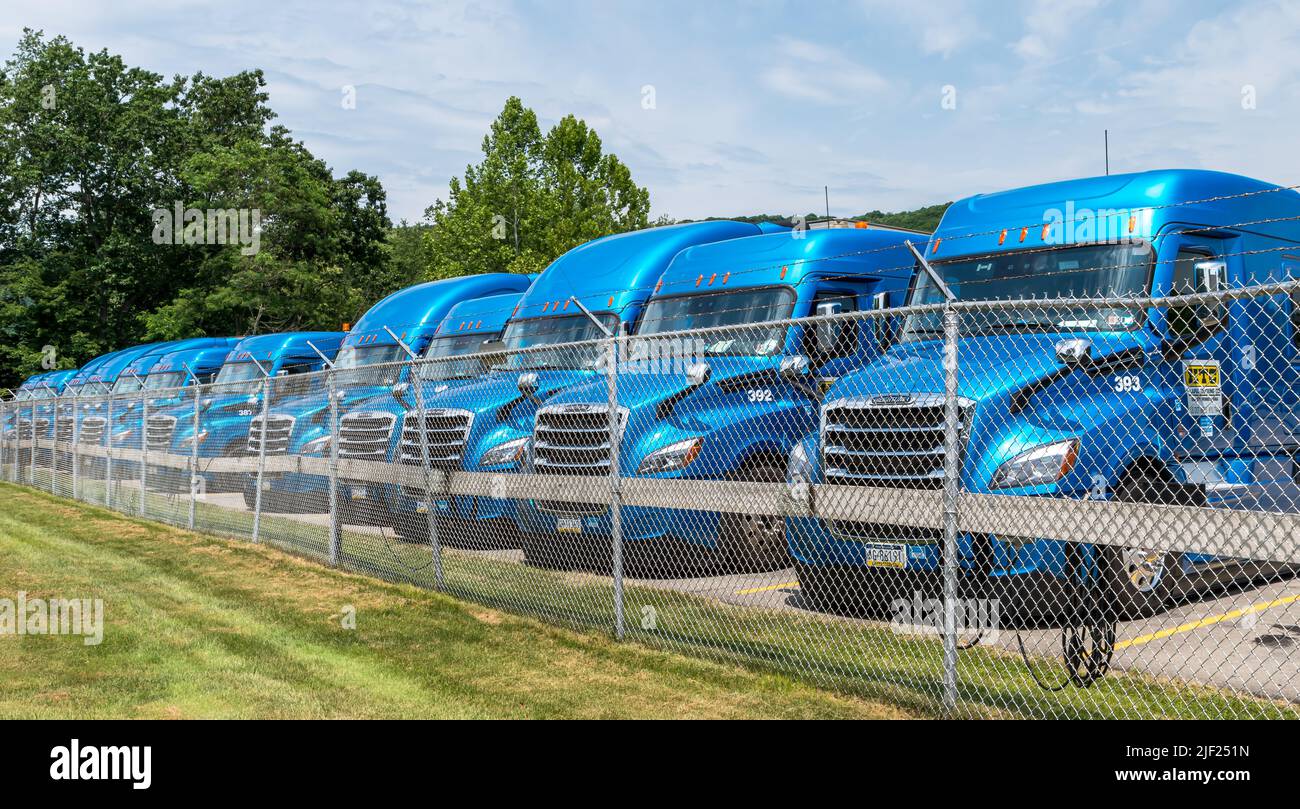 A line of blue tractor trailer cabs behind a chain link fence in Reno ...