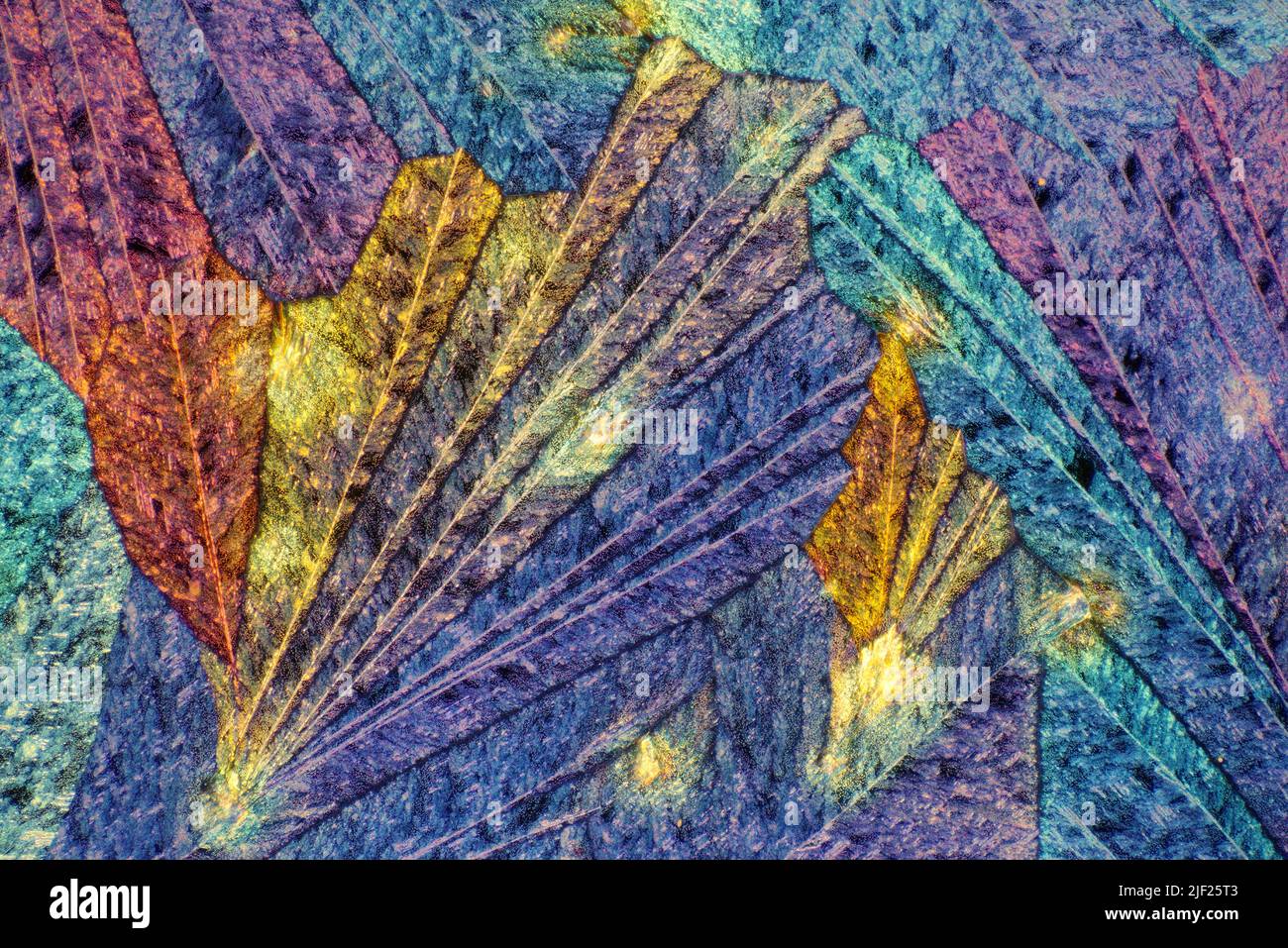 Polarized light micrograph of recrystallized paracetamol. Magnification ...