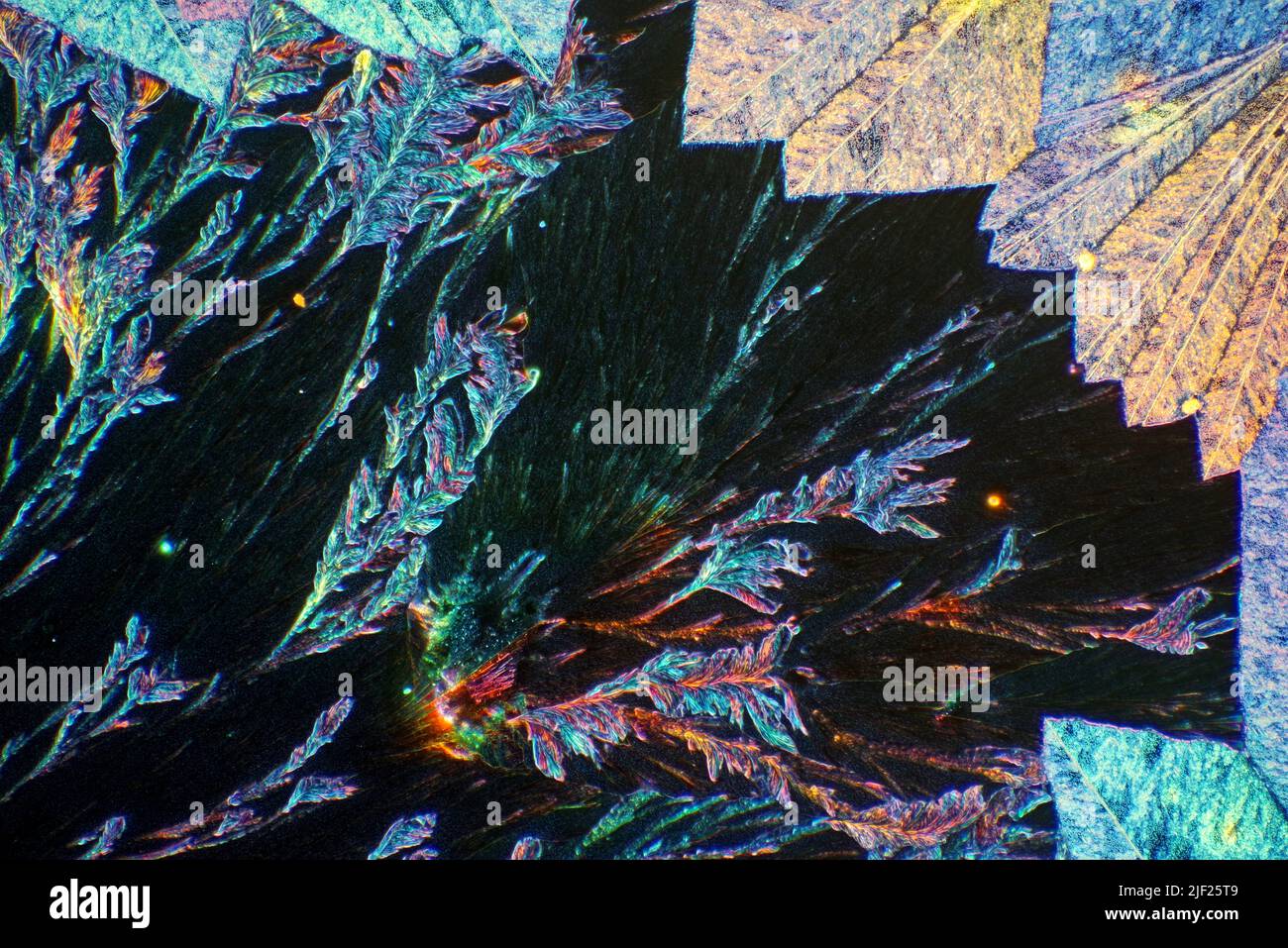 Polarized light micrograph of recrystallized paracetamol. Magnification ...