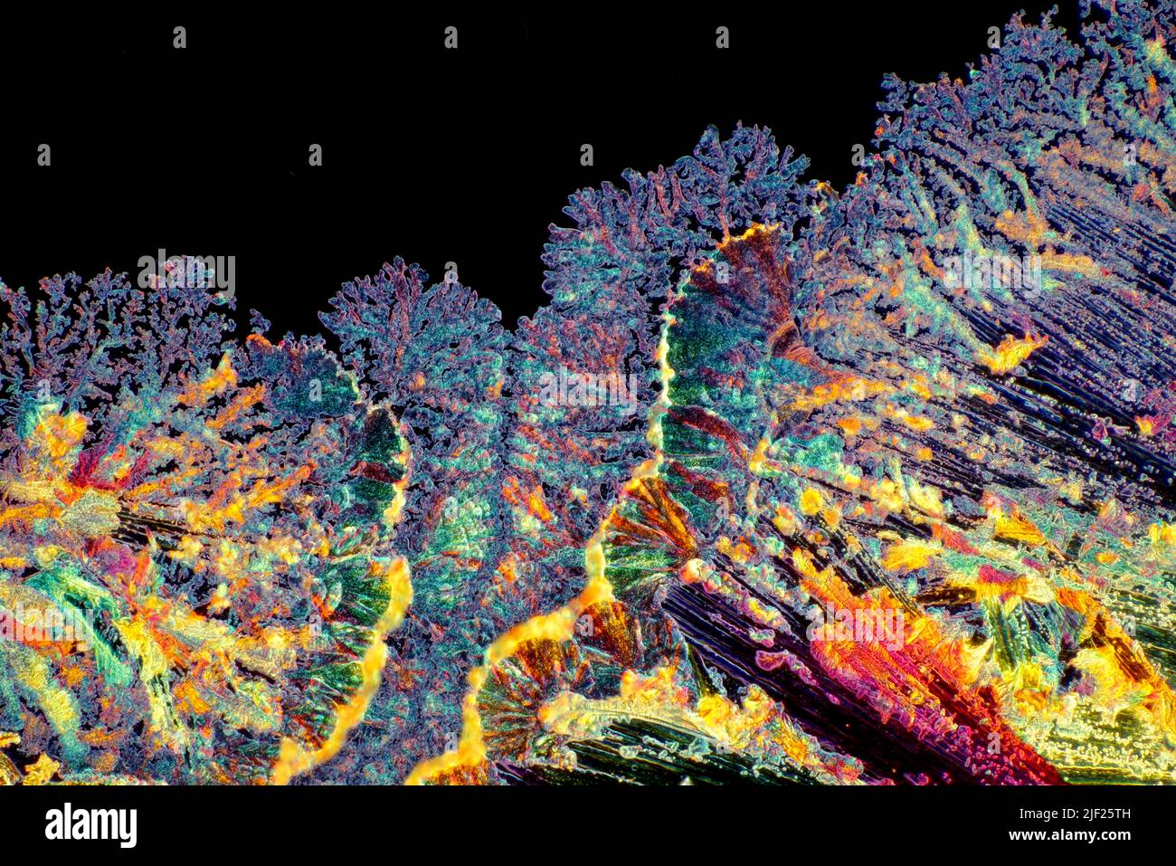 Polarized light micrograph of recrystallized paracetamol. Magnification ...