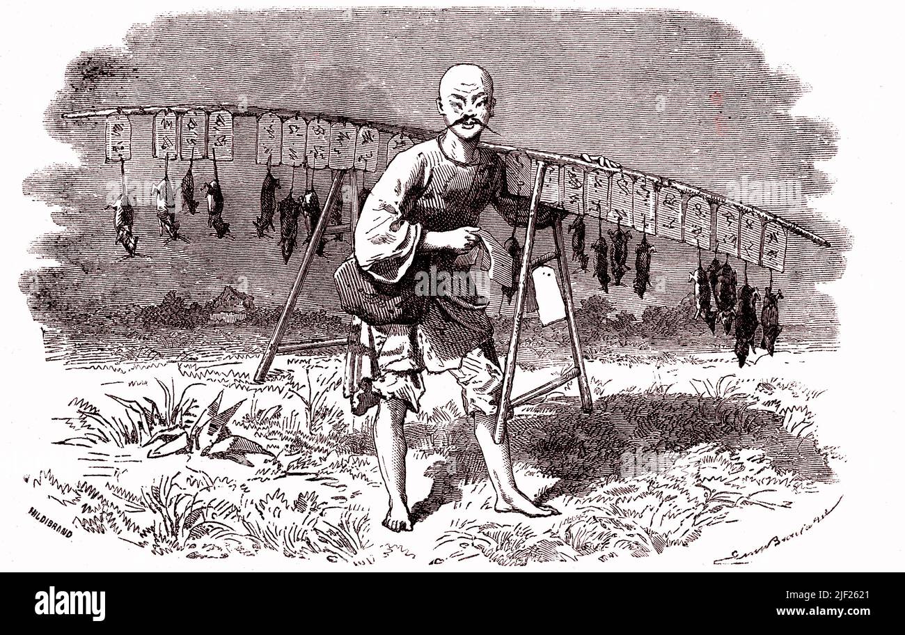 19th century illustration of a rat killer in China. Artwork by Emile ...
