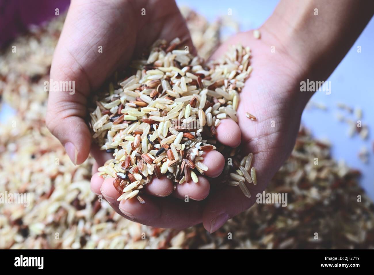 brown rice on child hand is carrying a pile of rice in the hand Islamic ...