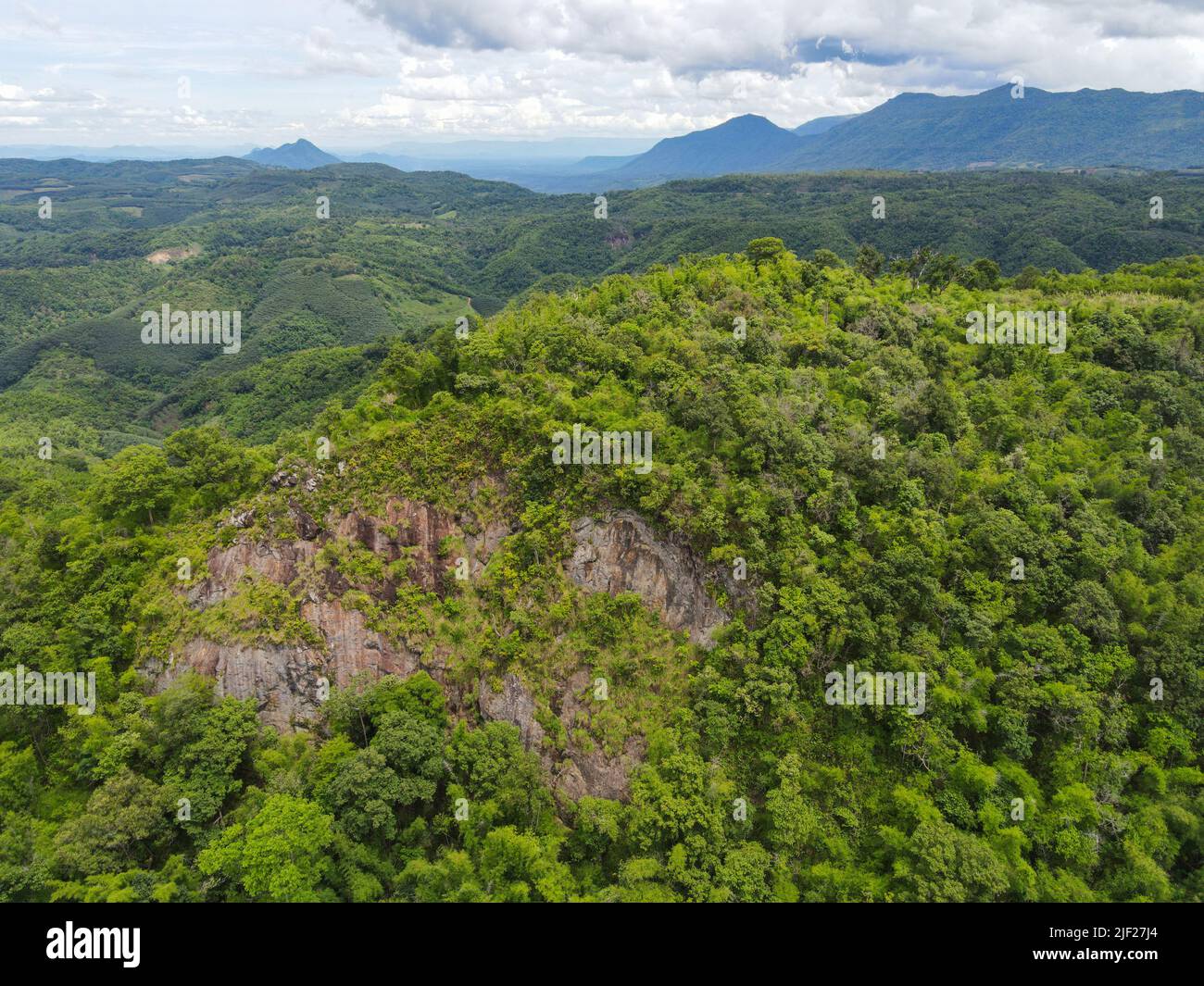 Aerial view rock cliff forest trees background jungle nature green tree ...