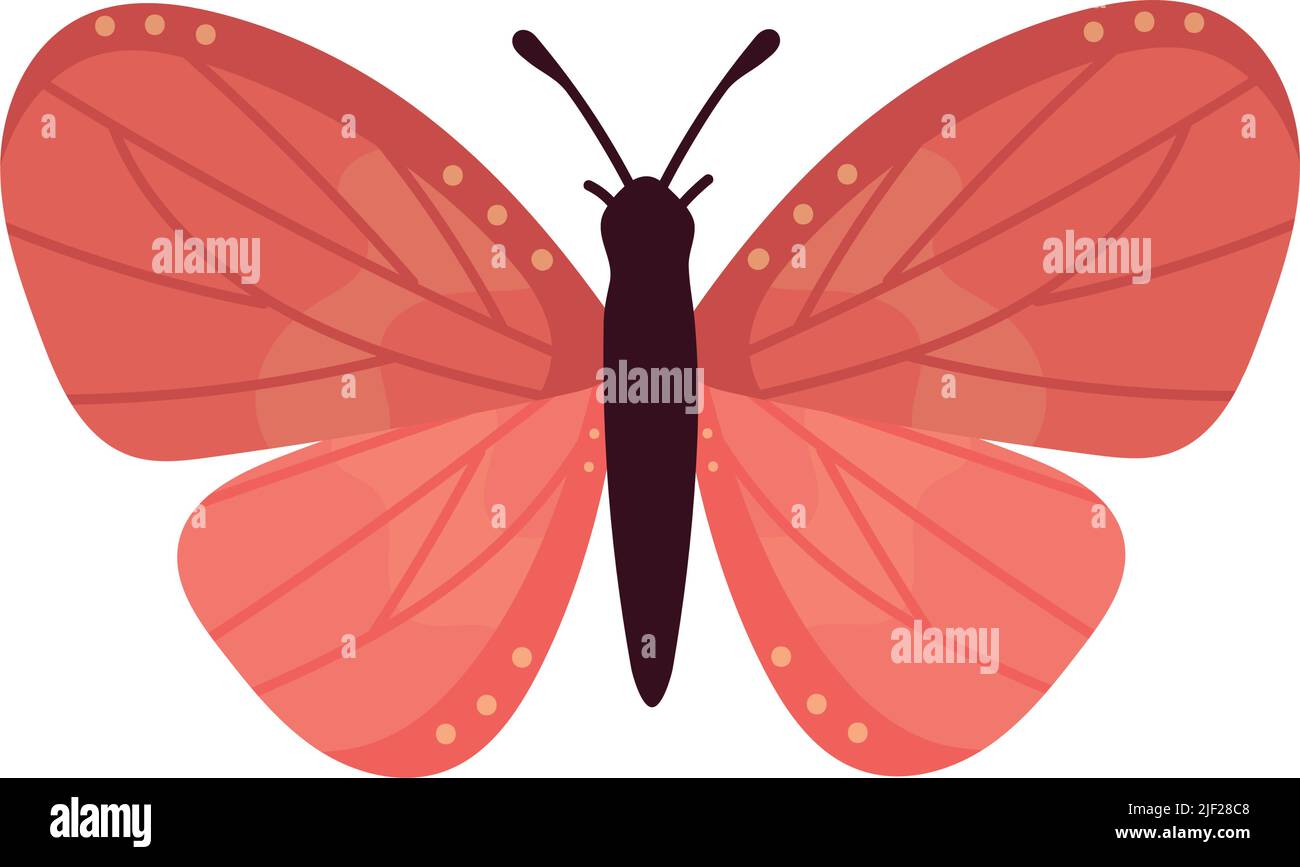 cute butterfly icon Stock Vector Image & Art - Alamy