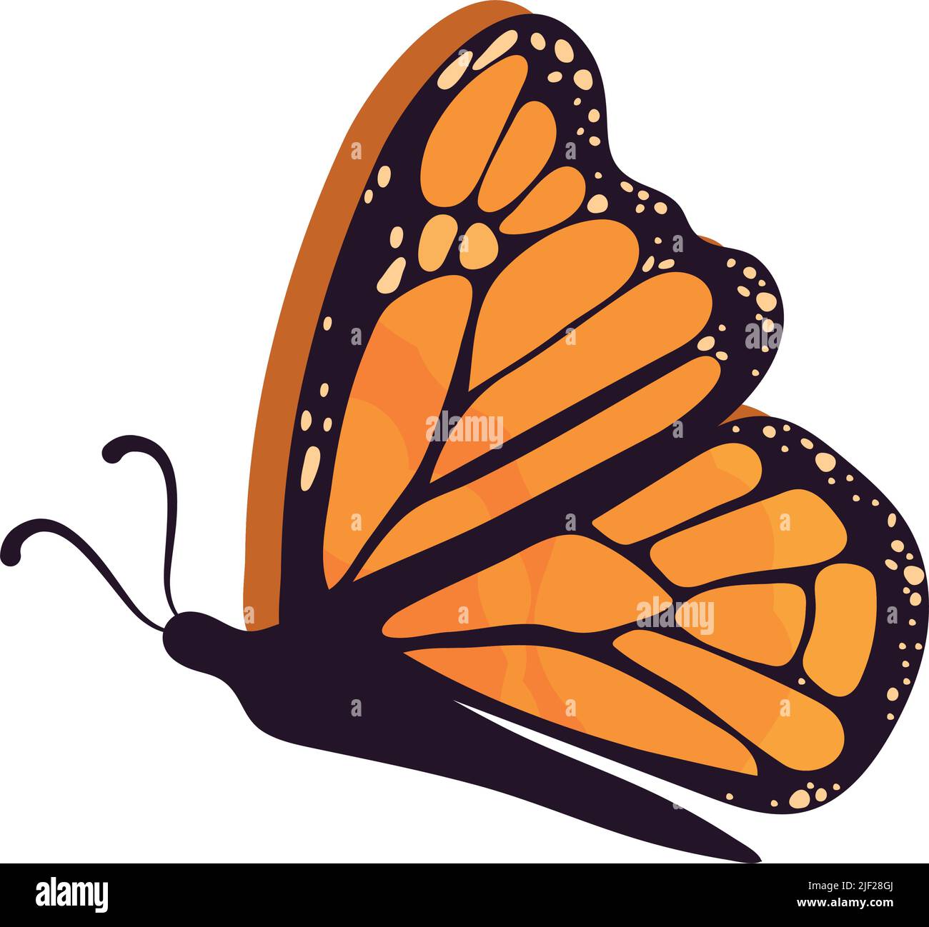 Monarch Butterfly Drawing Flying