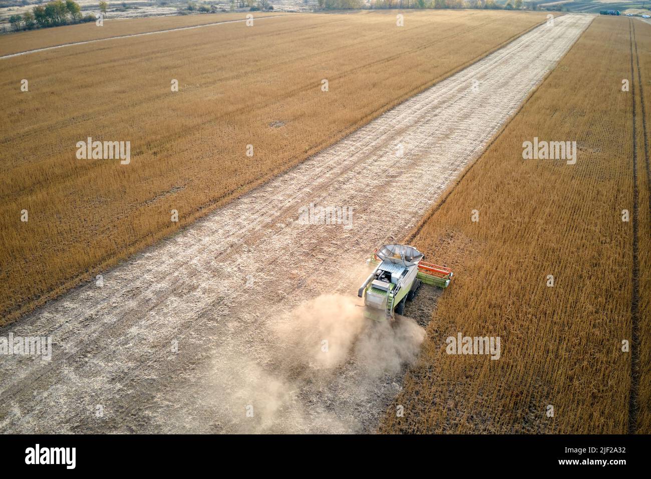Aerial view of combine harvester working during harvesting season on ...