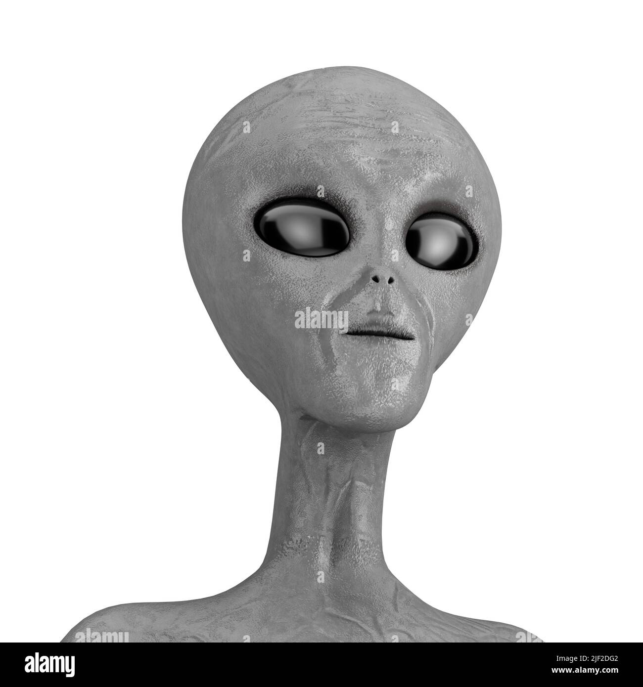 Portrait of Scary Gray Humanoid Alien on a white background. 3d ...