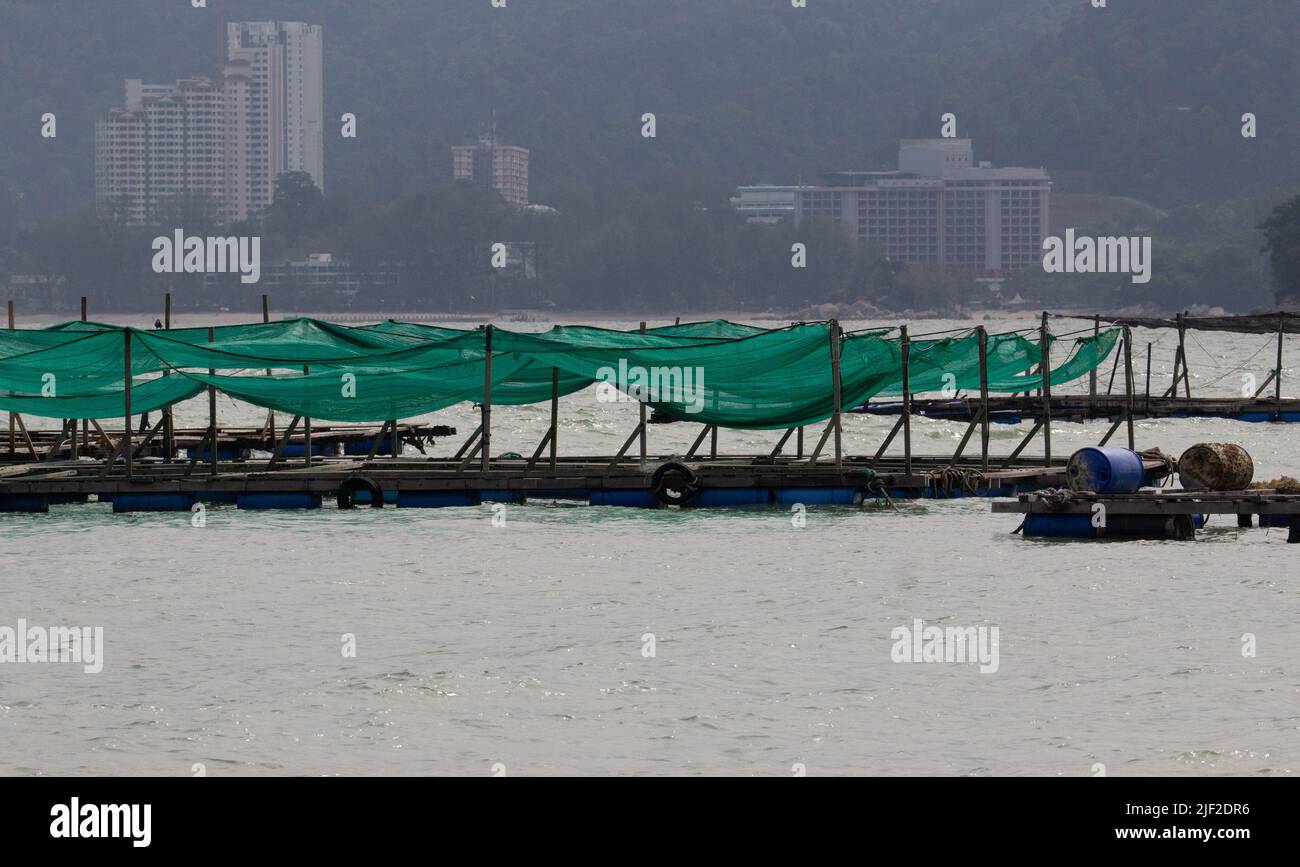 traditional fish farms with green nets out to dry with a city in the ...