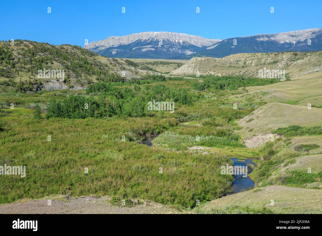 Mt d9481 hi-res stock photography and images - Alamy