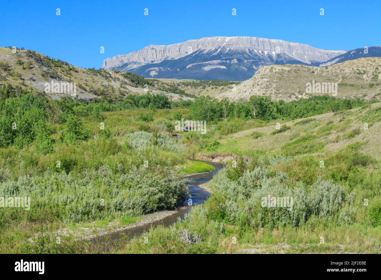 Mt d9508 hi-res stock photography and images - Alamy