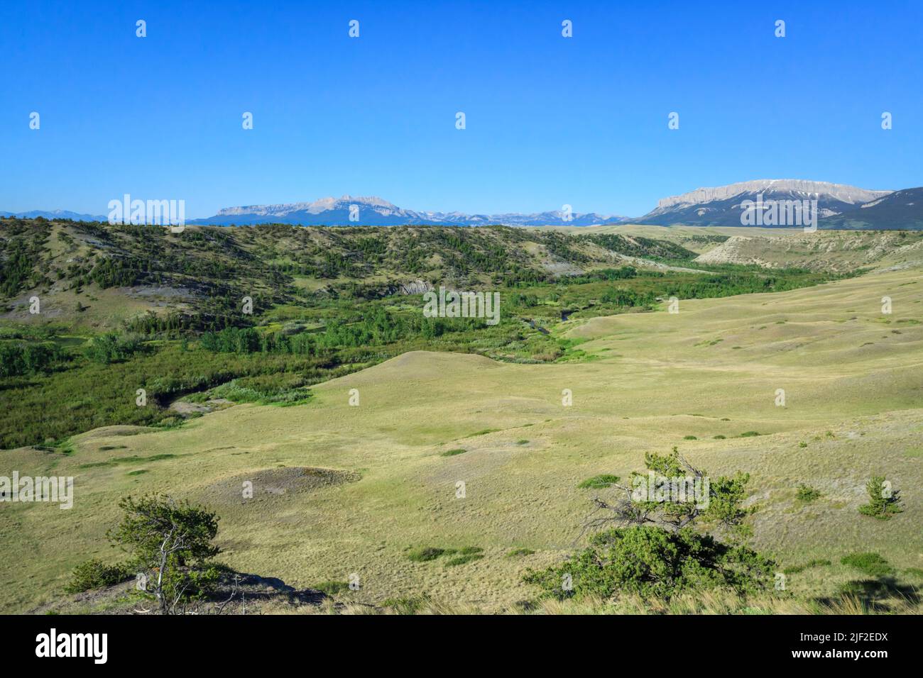 Mt d9455 hi-res stock photography and images - Alamy