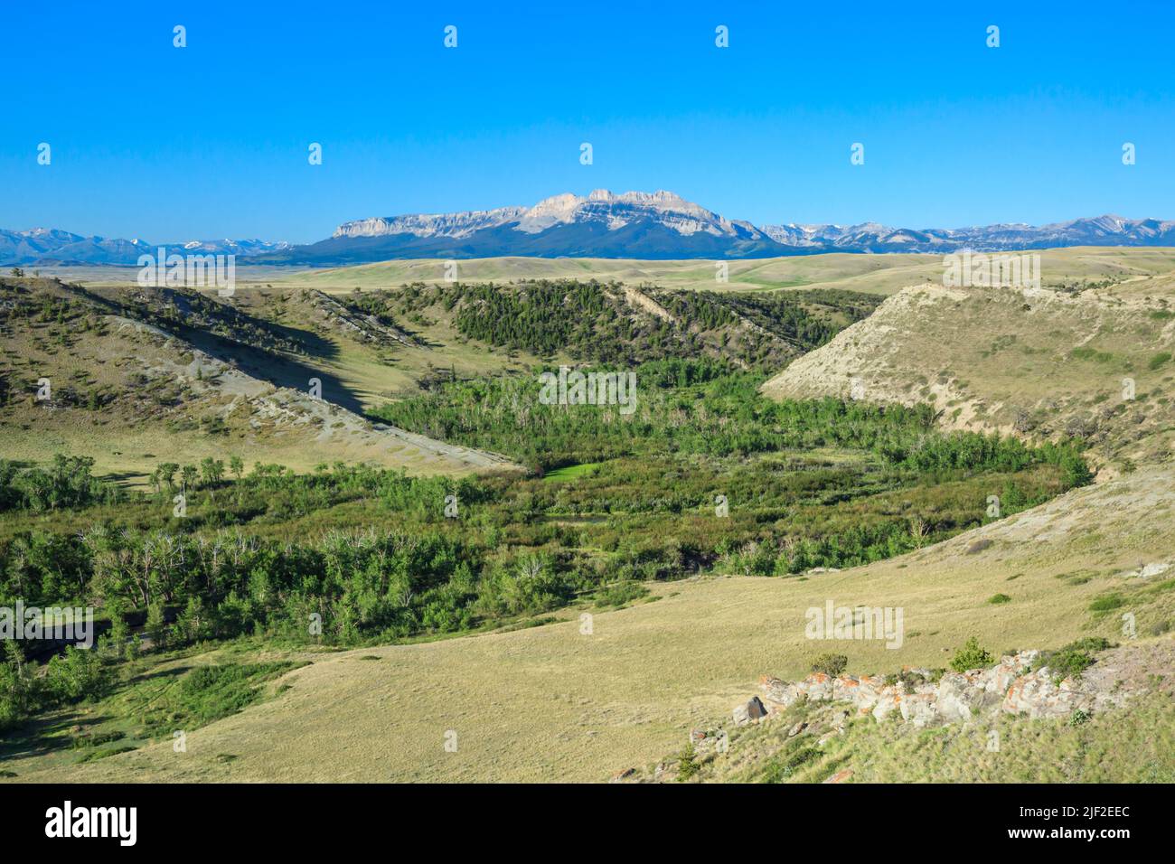 Mt d9422 hi-res stock photography and images - Alamy