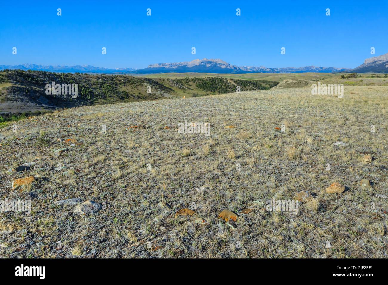 tipi ring along the deep creek valley below the rocky mountain front ...
