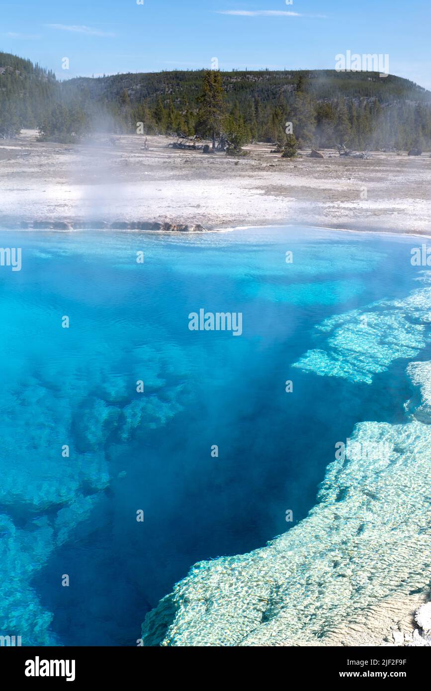 Thermaphiles hi-res stock photography and images - Alamy