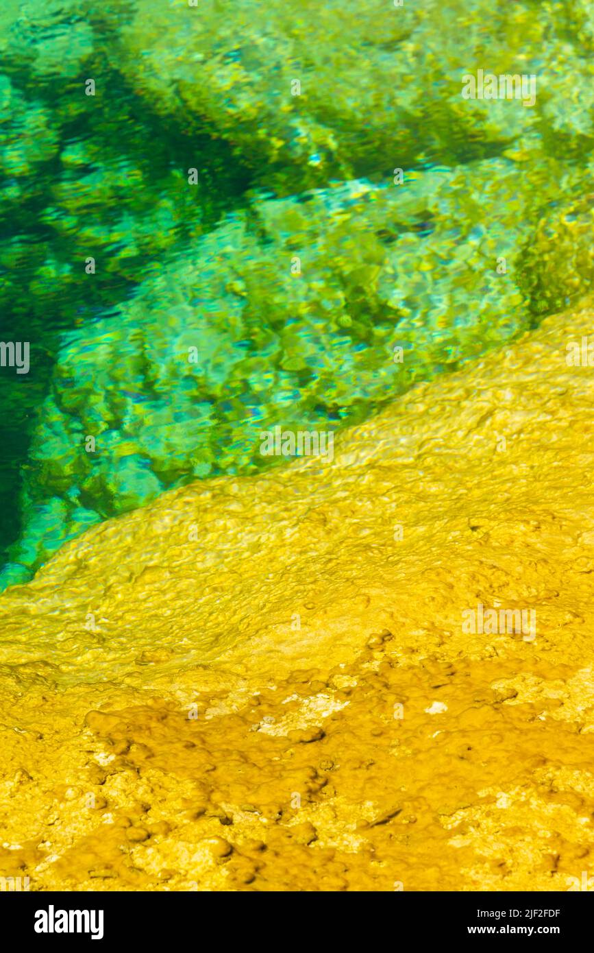 Close up view of a hot spring with bright yellow bacteria in ...