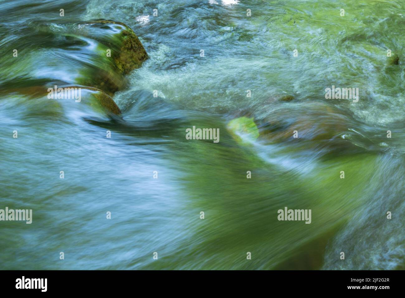 Fresh water from waterfall in mountain torrent. Vosges, France Stock ...
