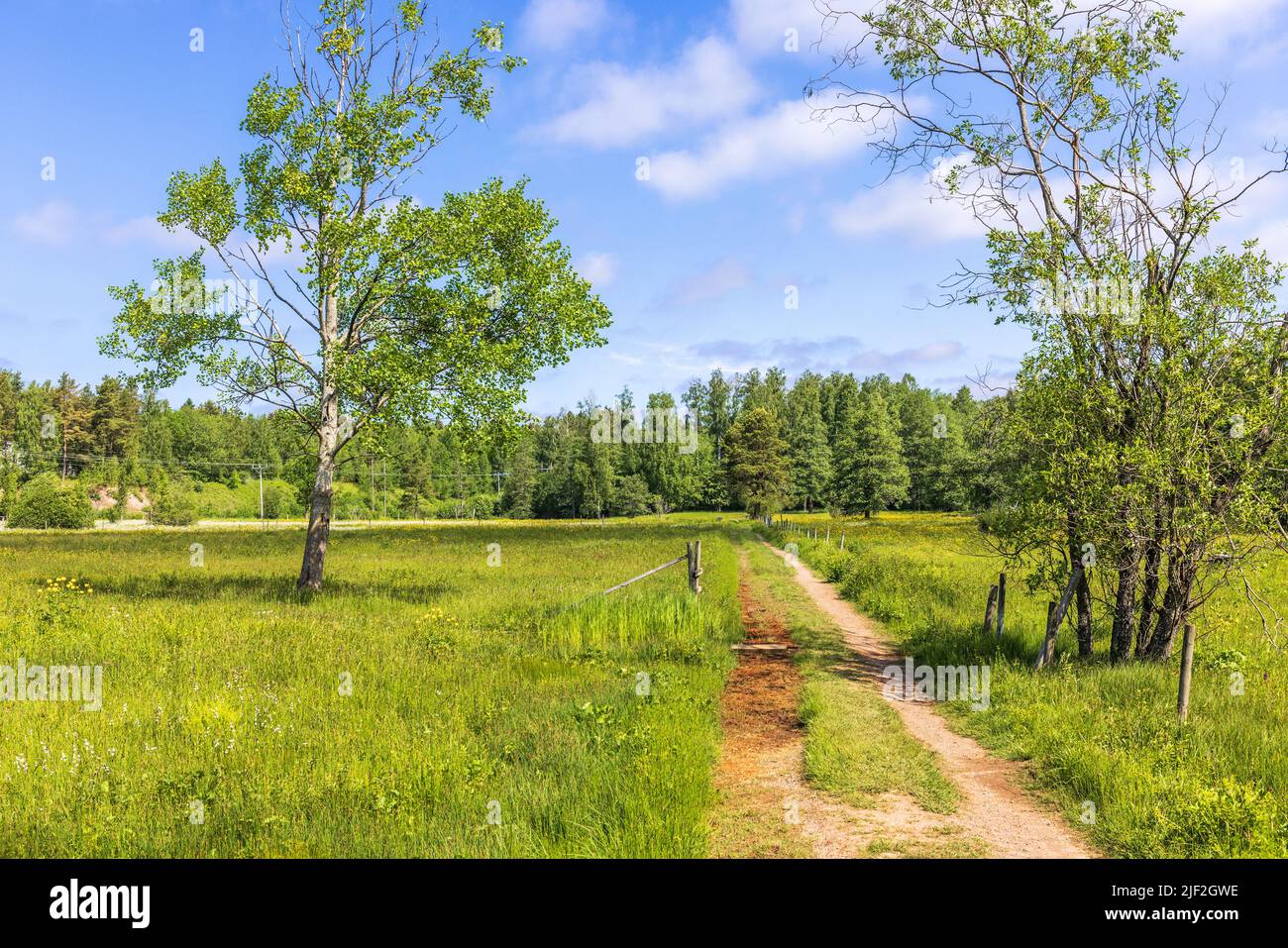 Path into a meadow nature reserve Stock Photo - Alamy