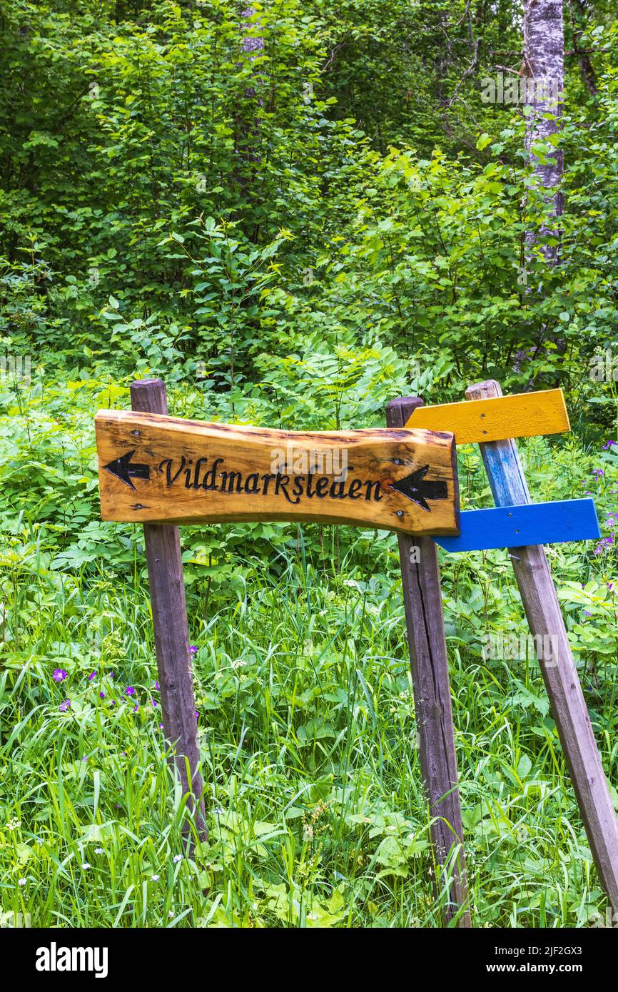 Wooden sign for a hiking trail in a woodland Stock Photo - Alamy