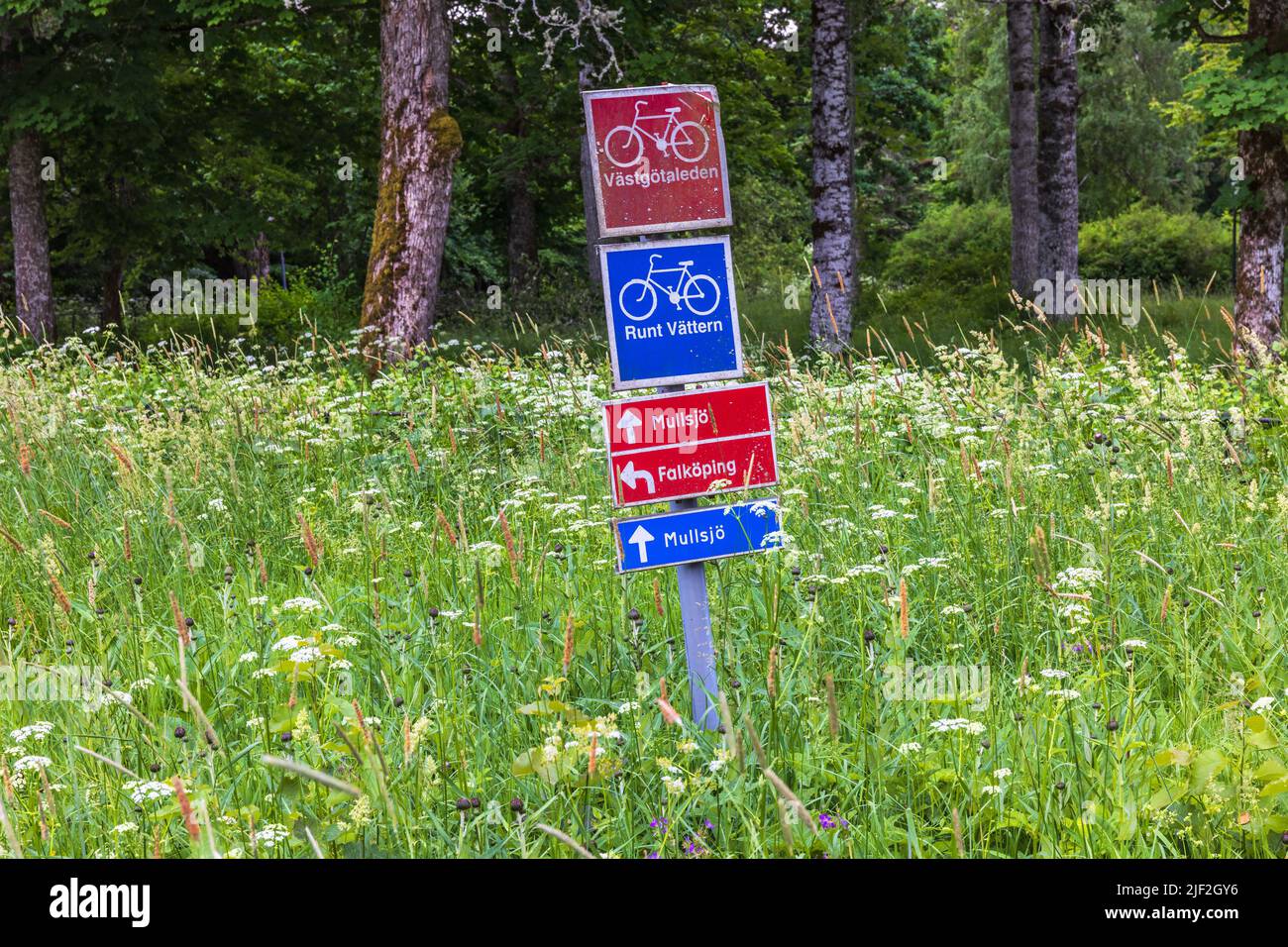 Bicycle trail signs on a flowering meadow Stock Photo - Alamy