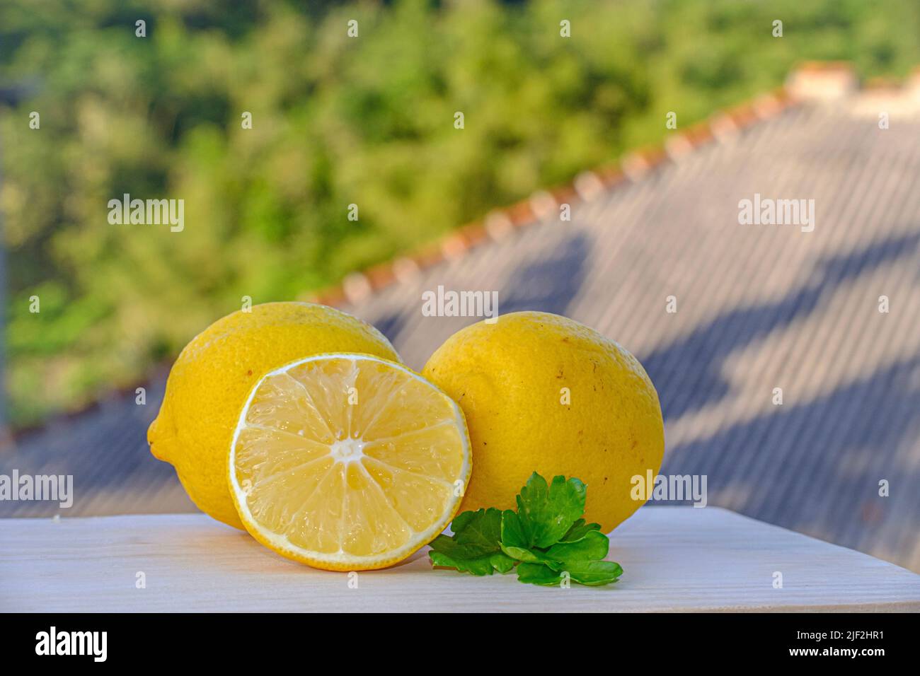Yellow lemon citrus fruit with half isolated on white background with ...