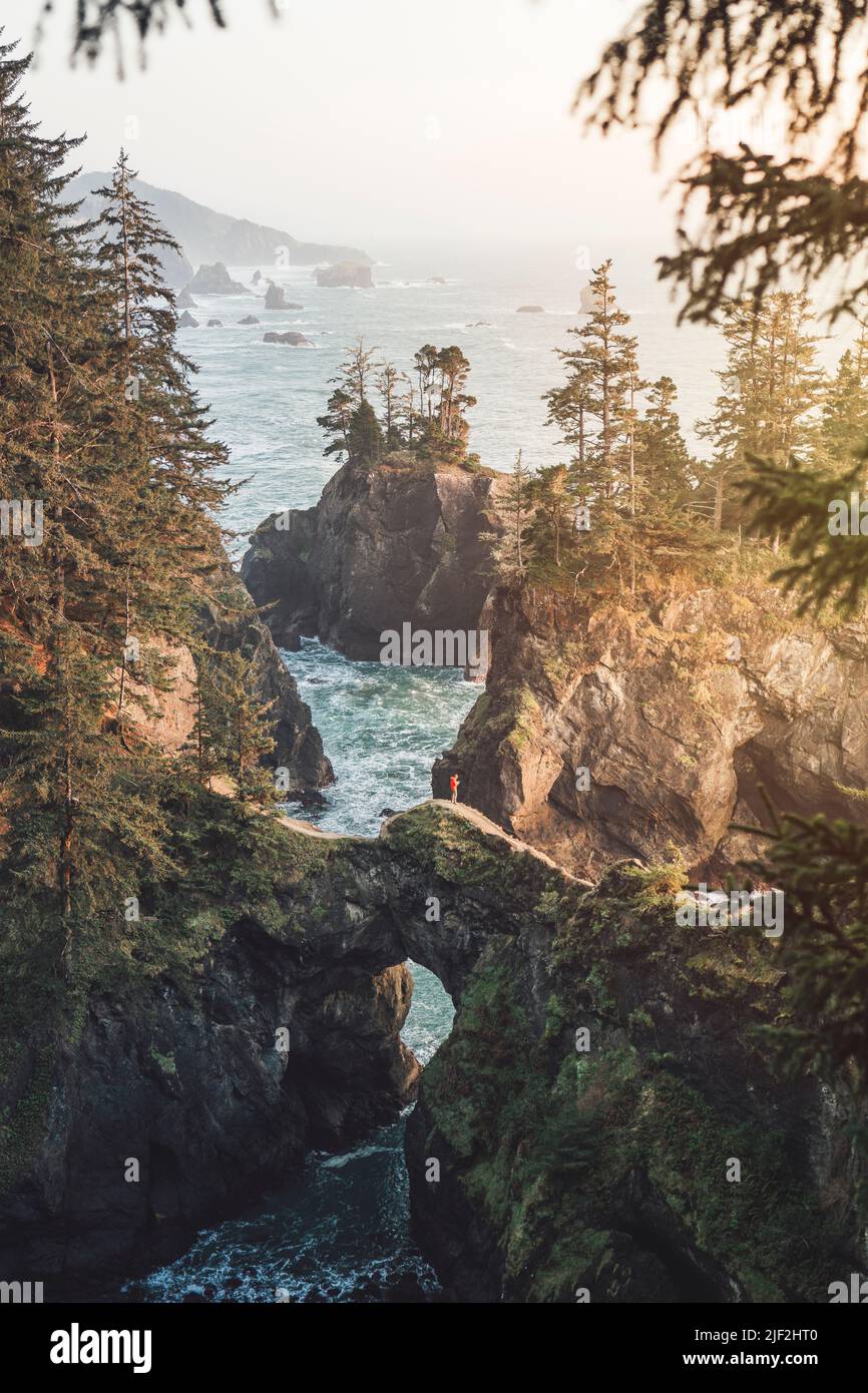 Boardmans hi-res stock photography and images - Alamy