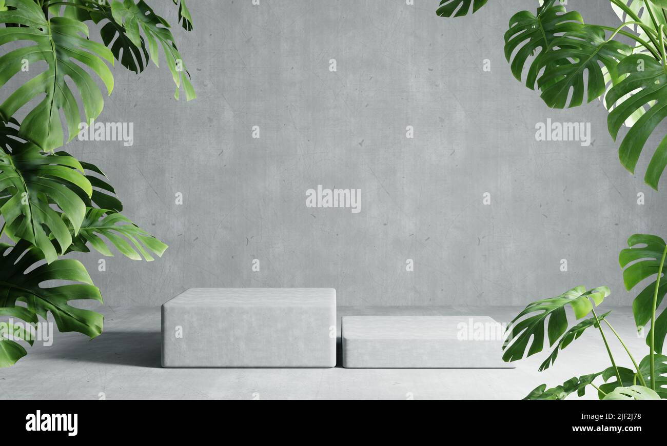 Two rectangle podiums in grey loft color background with Monstera plant ...
