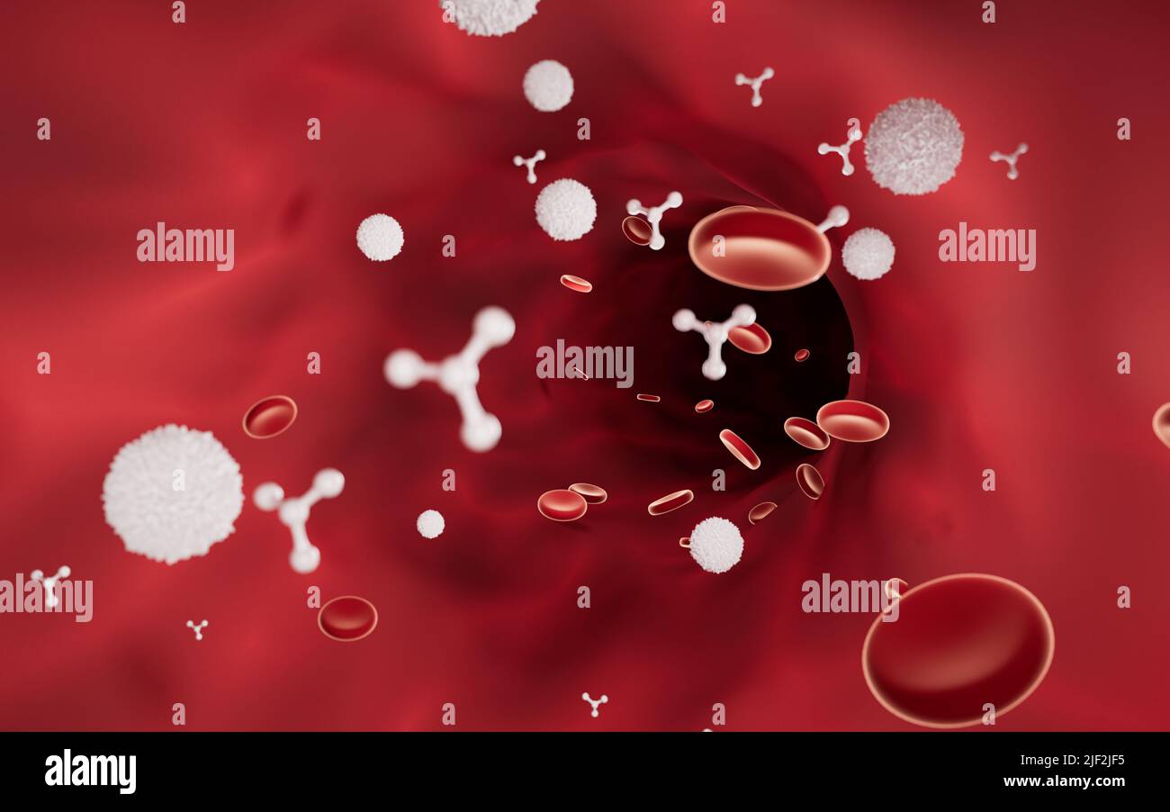 Molecules and cells in blood vessels, 3d rendering. Computer digital ...