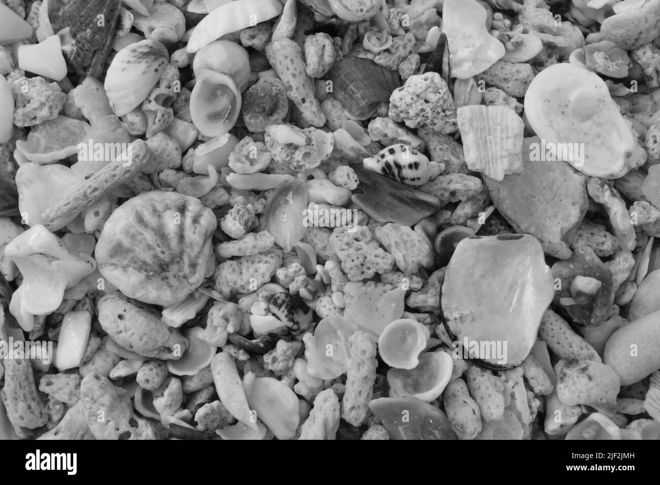 Summer background pattern from Black and White Stock Photos & Images ...