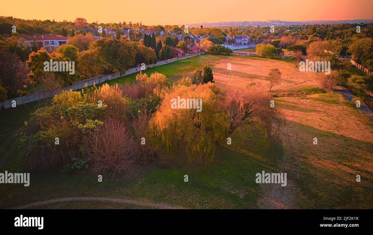 A vertical shot of a man washing a dog (german shepherd) in a backyard ...