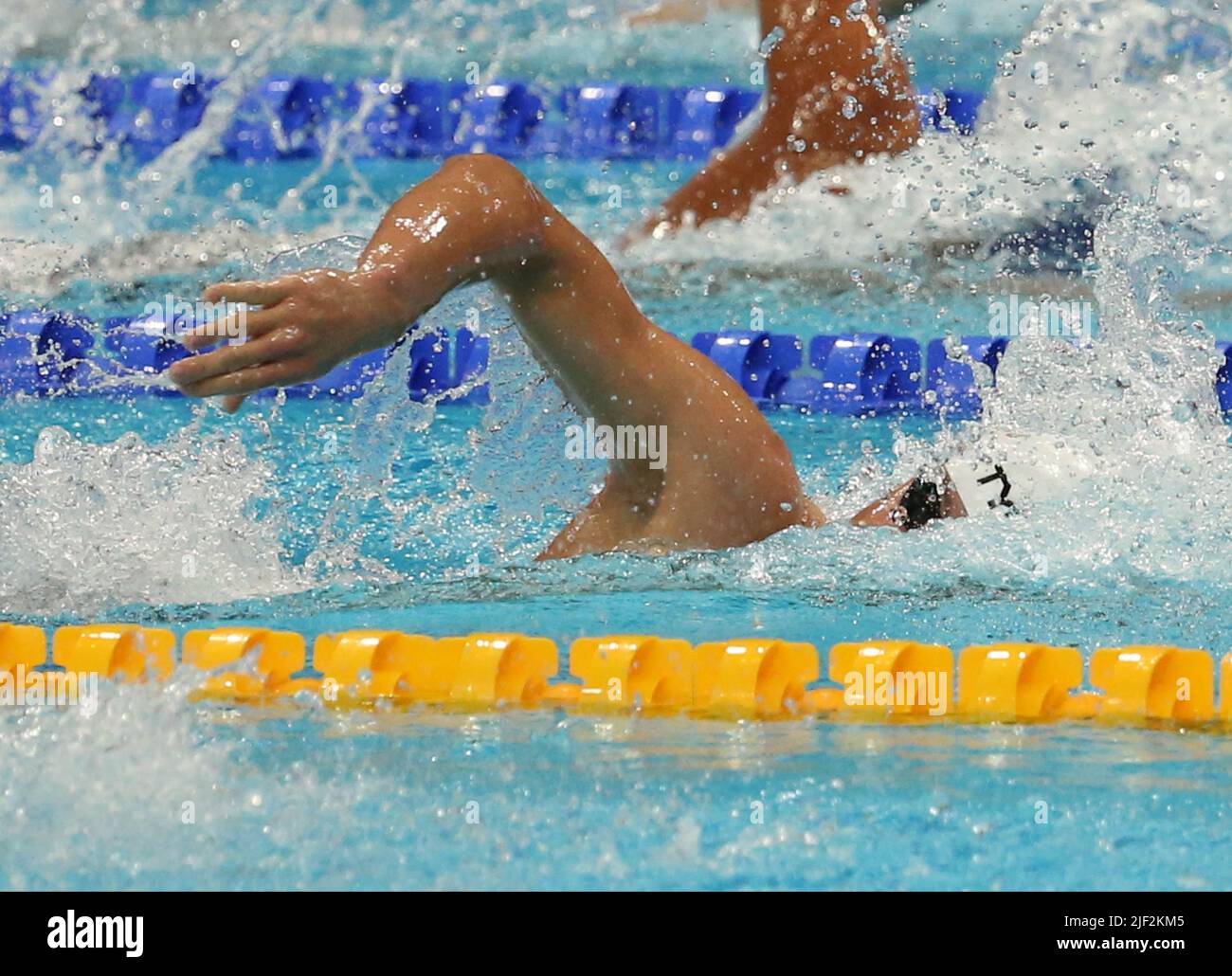 Bobby Fink of USA Heats 1500 M Freestyle Men during the 19th FINA World ...