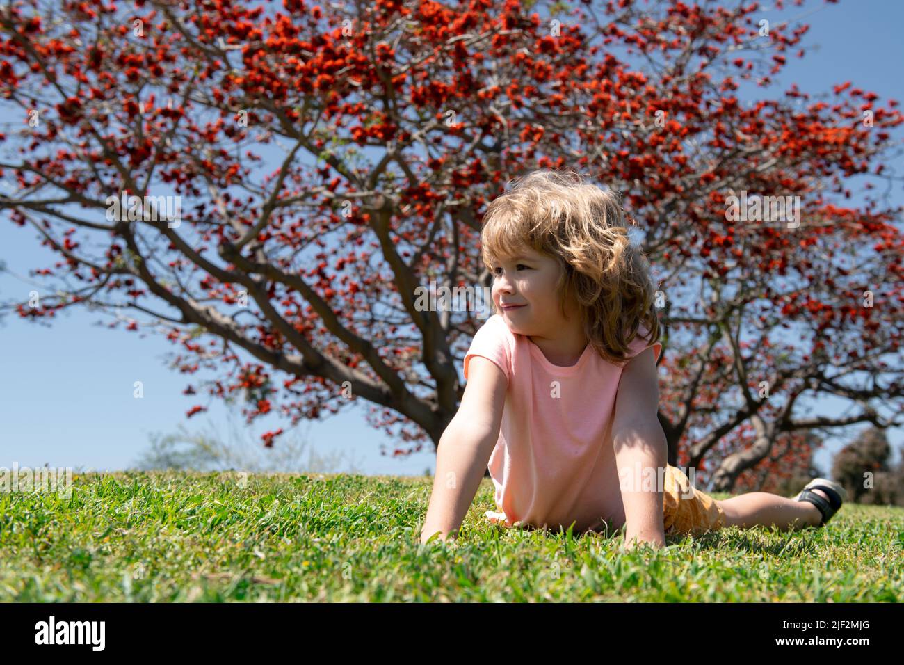 Portrait of little boy in summer nature park Stock Photo - Alamy