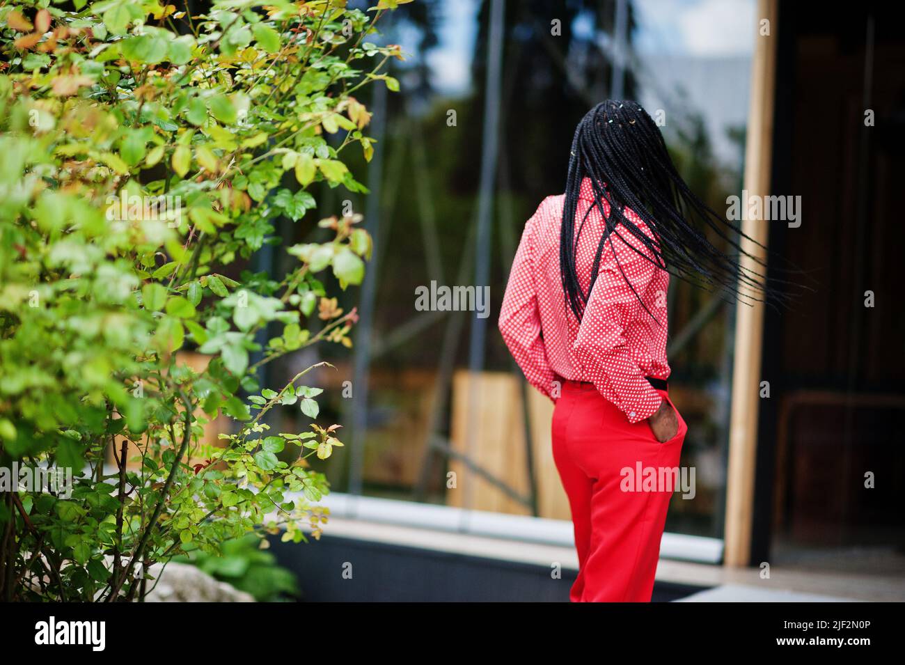 Pretty braids business african american lady bright bossy person ...