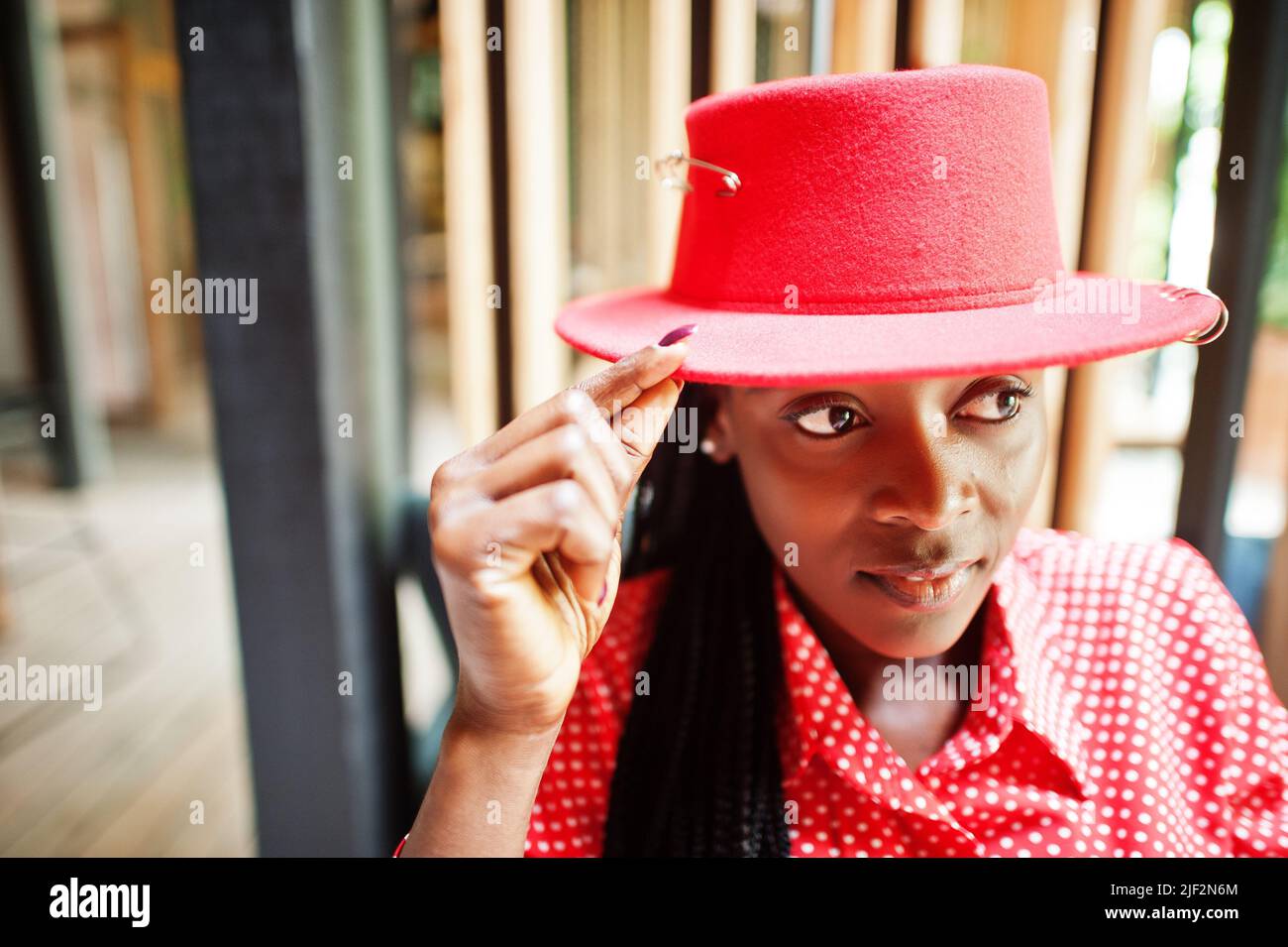 Close up portrait of pretty braids business african american lady ...