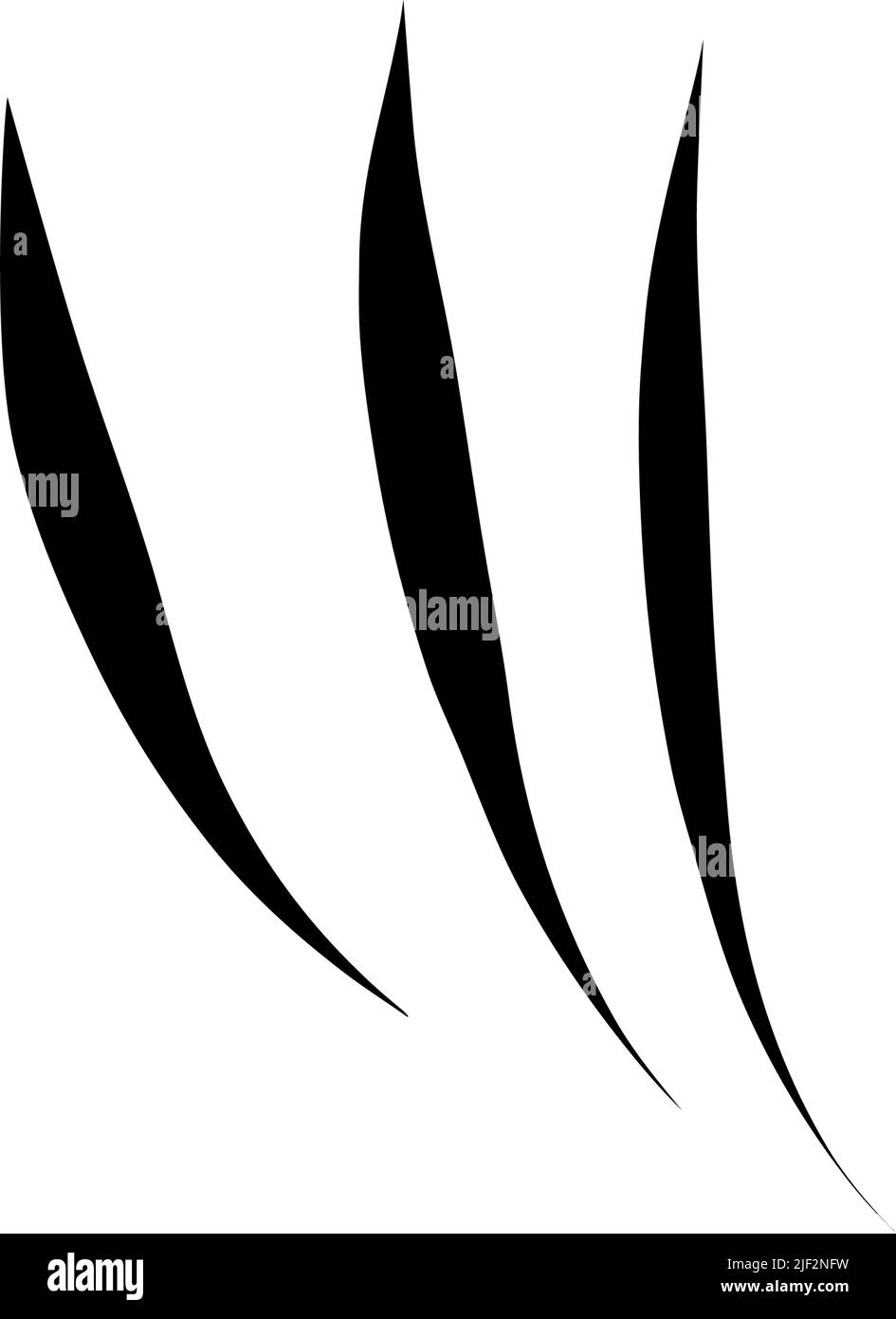 Cat scratches. Black claws animal scratch, Torn paper. Cat claws trace ...