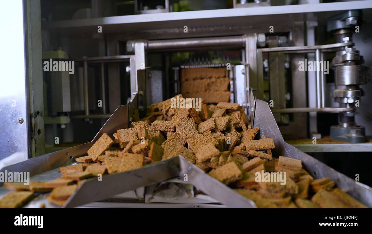 Croutons on the conveyor. Automated line for the production of rusks ...
