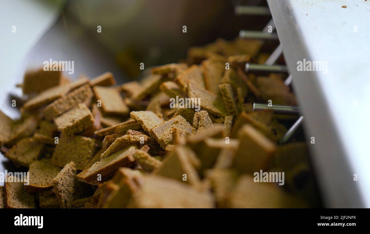 Production process of delicious breadcrumbs. Bread crackers, production ...