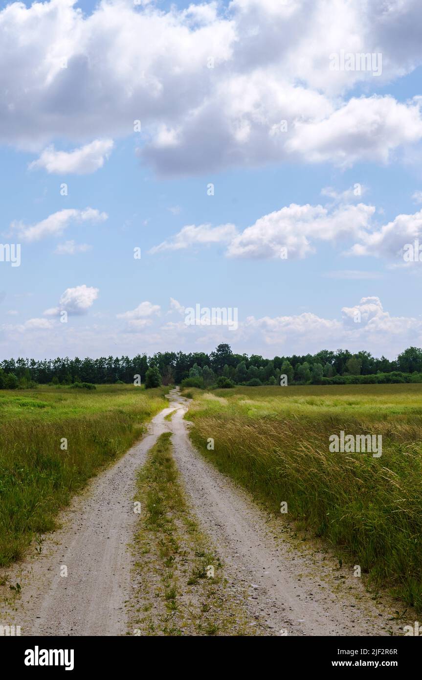 A long road in an arable field. Farmland. A beautiful field road Stock ...