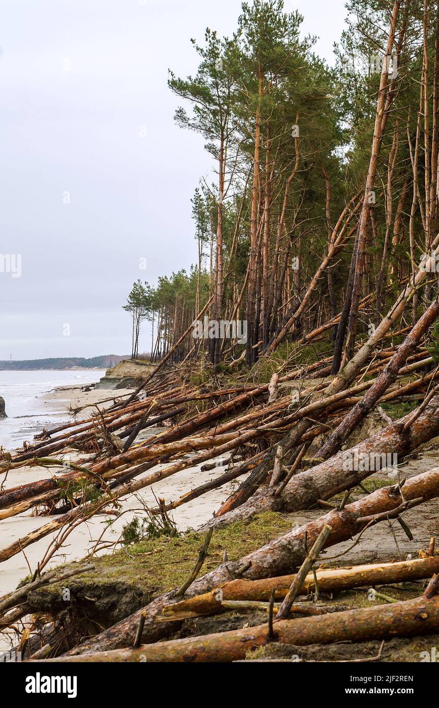 The devastation after the storm. Consequences of the sea storm ...