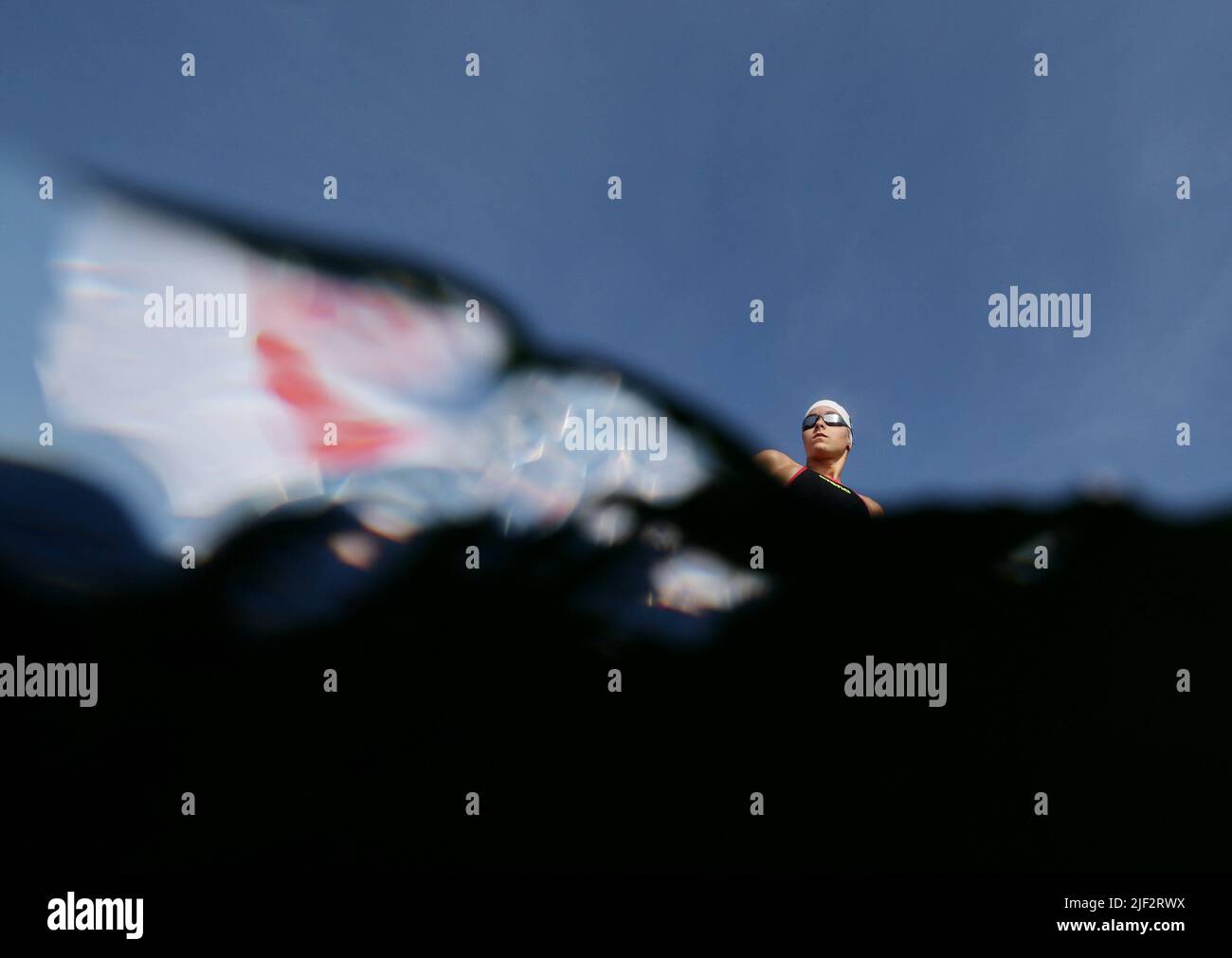 Rosa fina hi-res stock photography and images - Alamy