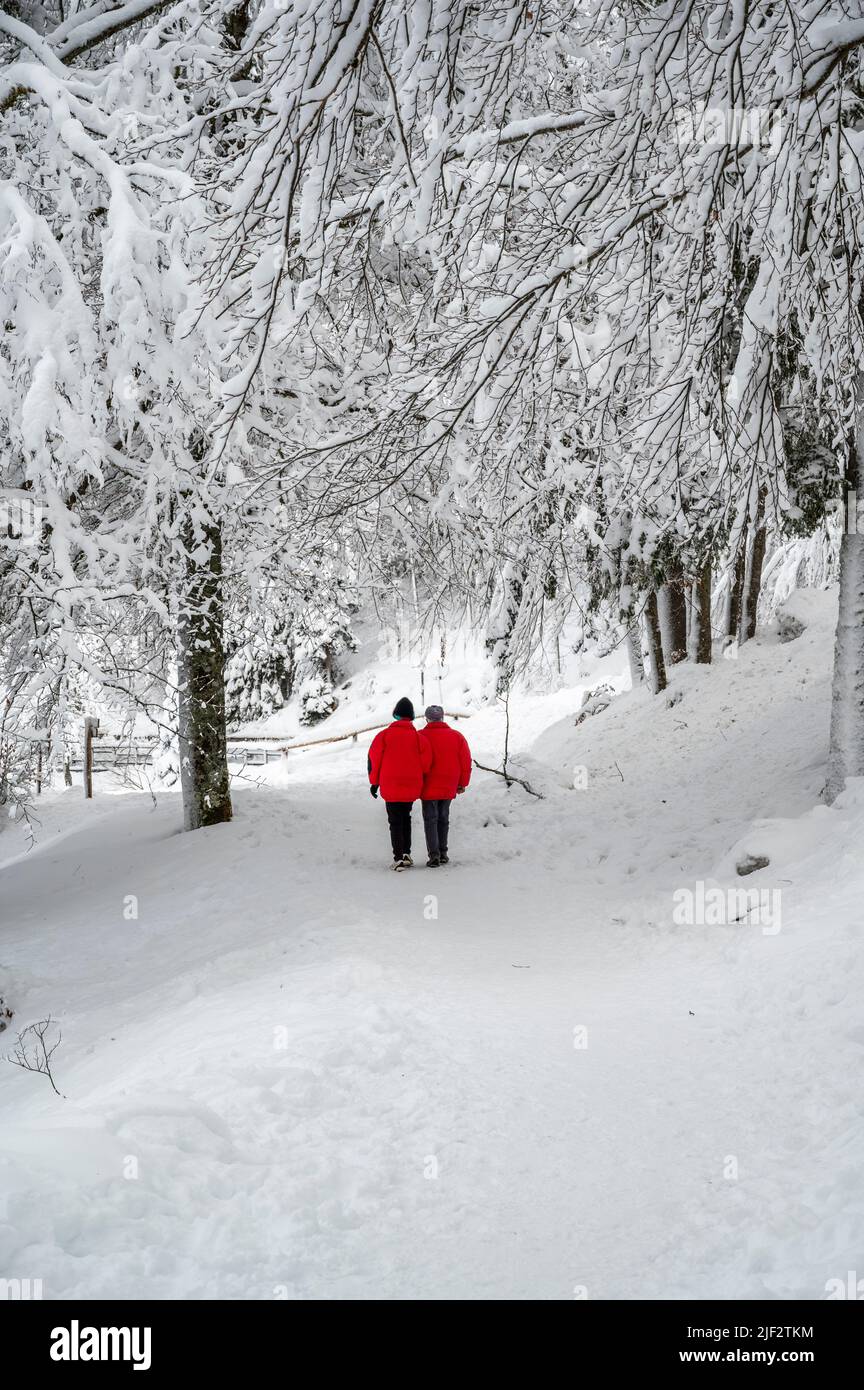 Snow winter in Fusine. Magic of the lower lake Stock Photo - Alamy
