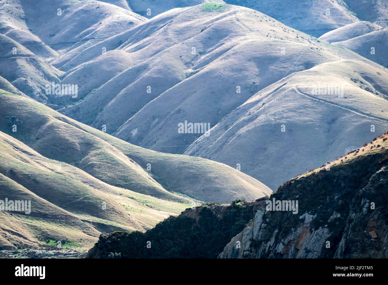 Hilly farmland, Arapawa Island, Tory Channel, Marlborough Sounds, South ...