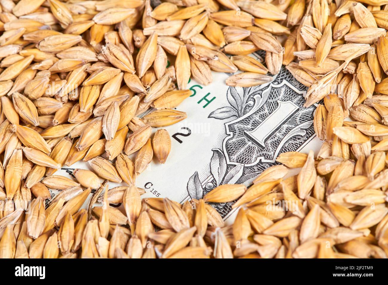 One dollar bill in unpeeled barley grains Stock Photo - Alamy